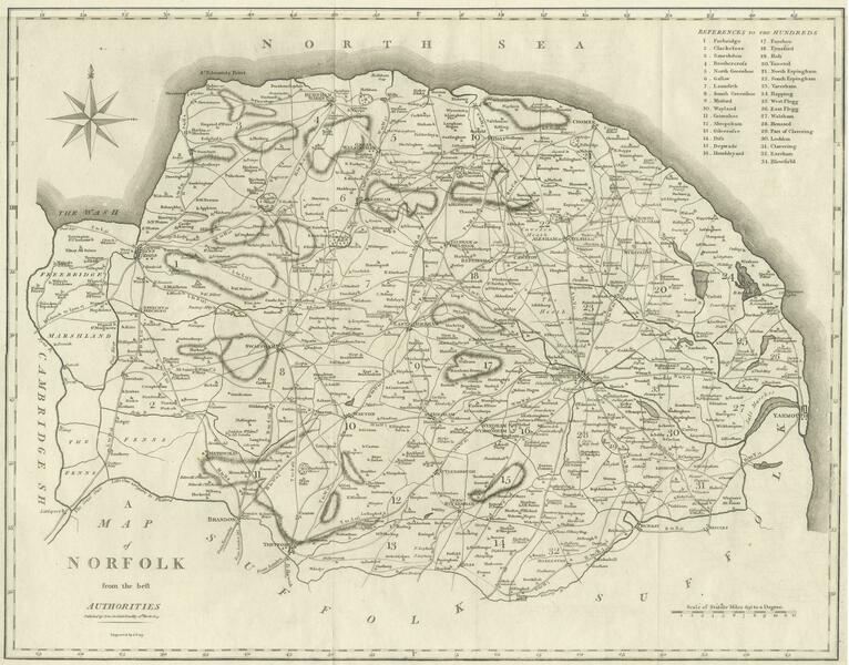 Large Antique County Map Of Norfolk, England | John Cary | Vinterior