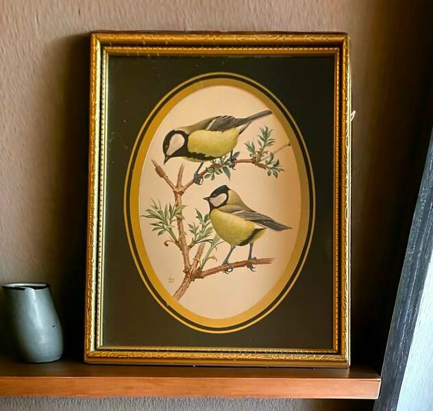 Pair Of Vintage Bird Prints By John Murr 1960 Set Of 2 Portrait. Framed ...