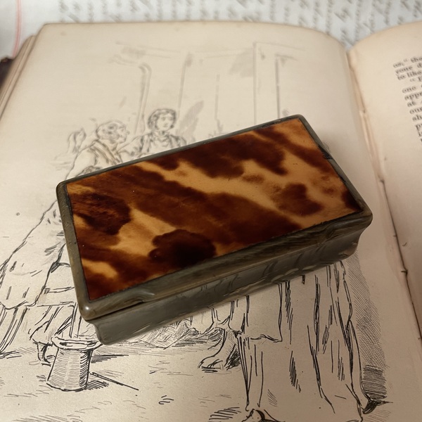 Horn And Tortoise Snuff Box, 1800s | Vinterior