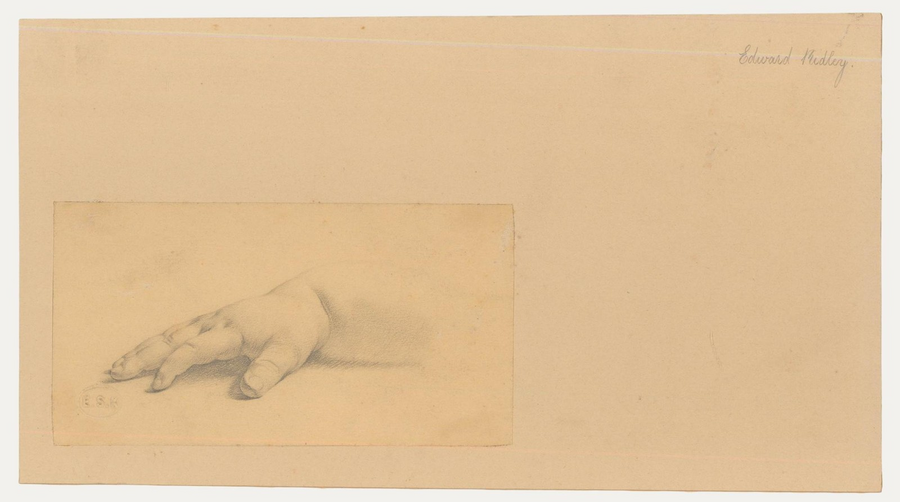 Edward Ridley (1883 1946) Graphite Drawing, Study Of An Infant's Hand ...