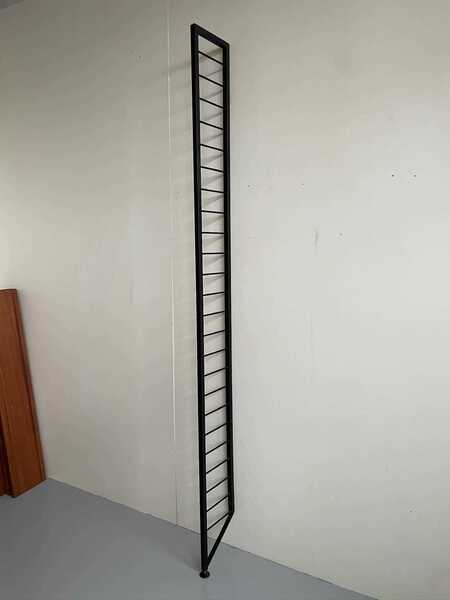 200 X 20cm Staples Black Ladderax Ladder Thin Tall Lean To One Foot ...