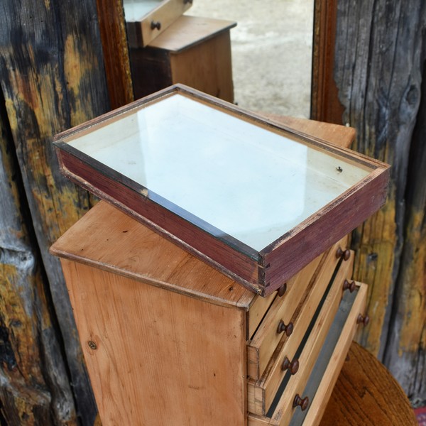 Antique 19th Century Pine Specimen Museum Sample Display Cabinet Bank ...
