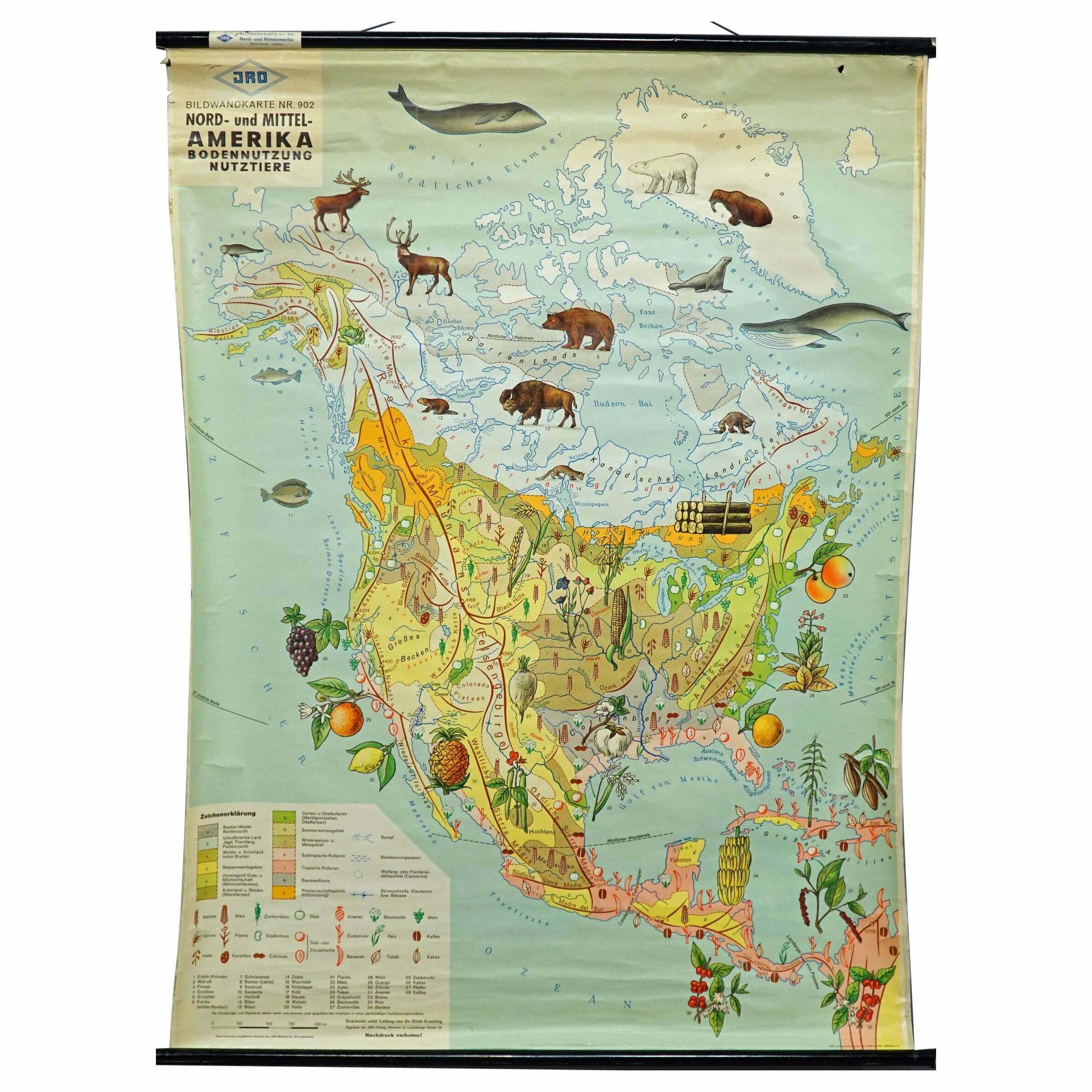 Land Use And Livestock North America Picture Map Wall Chart Poster ...